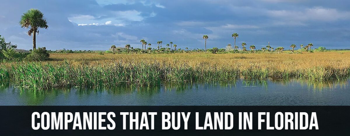 Florida Land Buyers: 5 Companies that Buy Florida Land